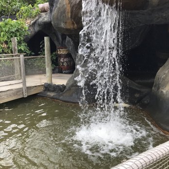 BOBZ WORLD - Updated December 2025 - 149 Photos & 40 Reviews - 36451 TX ...