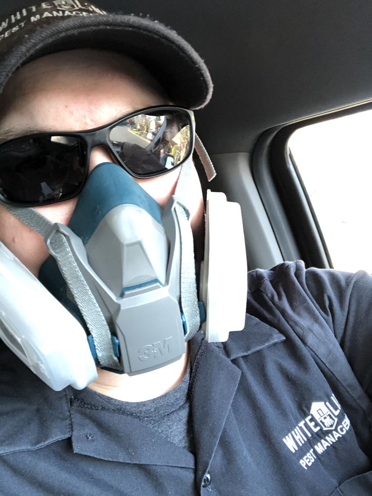 BADGER PRO PEST & LAWN - Updated July 2025 - N6758 County Rd H, Camp ...