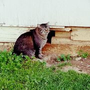 DIABLO VALLEY RANCH - 36 Photos - Rehabilitation Center - 11540 Marsh ...