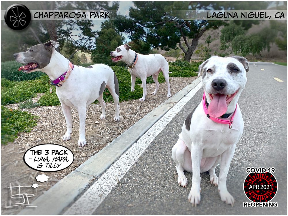 CHAPPAROSA PARK - Updated April 2025 - 59 Photos & 18 Reviews - 25191 ...