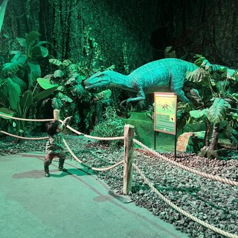 DINOS ALIVE - Updated December 2025 - 39 Photos & 13 Reviews - 31 15th ...