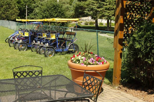 WHEEL FUN RENTALS - VETERANS MEMORIAL PARK - Updated July 2025 - 6335 ...