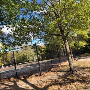 STUDE PARK - 27 Photos & 23 Reviews - Parks - 1031 Stude St, Houston ...