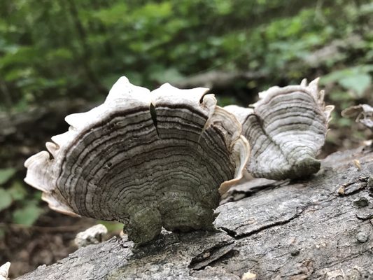 DEEP RUN PARK AND RECREATION CENTER - Updated June 2025 - 80 Photos ...