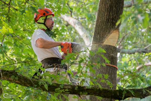 GORDON PRO TREE SERVICE - 18 Photos - 1320 Candler Rd, Gainesville ...