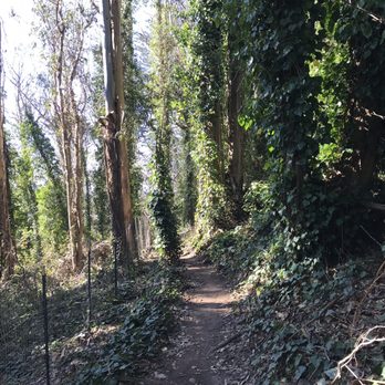 MOUNT SUTRO - Updated October 2025 - 426 Photos & 114 Reviews - Medical ...