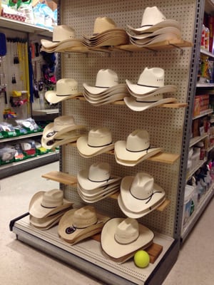 ARIZONA FEEDS COUNTRY STORES - Updated December 2025 - 37 Photos & 11 ...