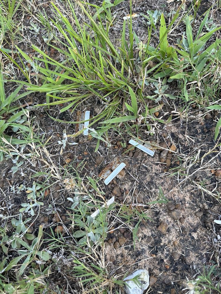 MAGNOLIA FIELDS RV PARK AND RESORT - RV RESORT IN MAGNOLIA TEXAS ...