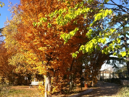 PARC DE LA MATHILDE - Updated August 2024 - 14 Photos - Bd du Cabot ...
