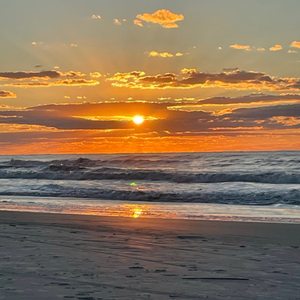 COLIGNY BEACH PARK - 340 Photos & 119 Reviews - 1 N Forest Beach Dr ...