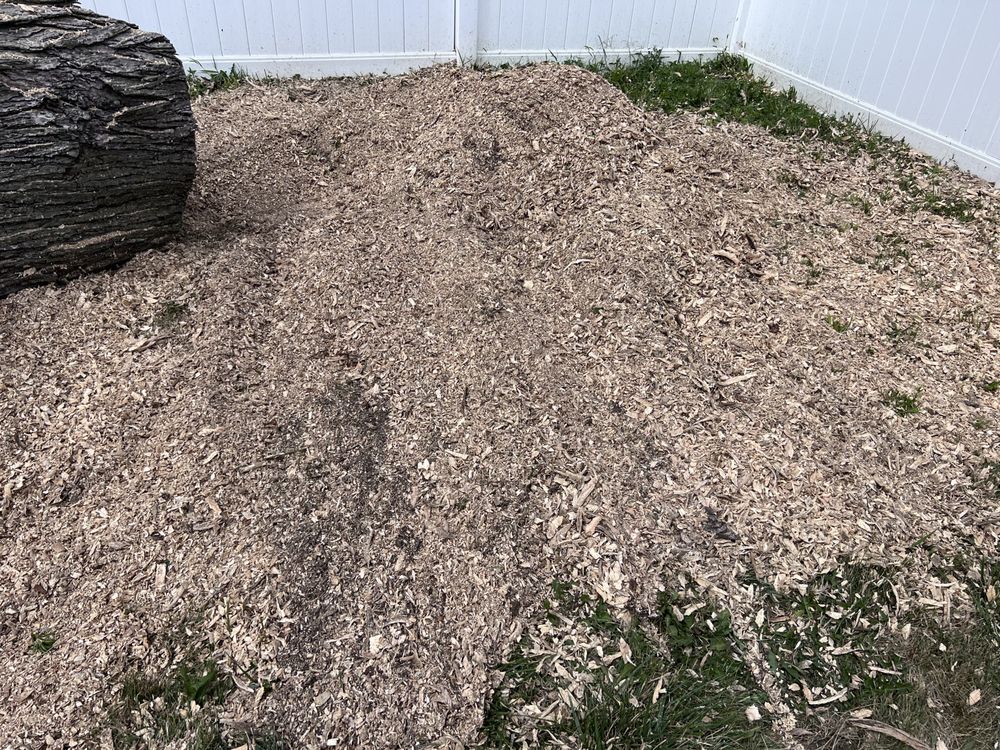 TREE KINGS - Updated July 2025 - 12 Photos - Chariton, Iowa - Tree ...