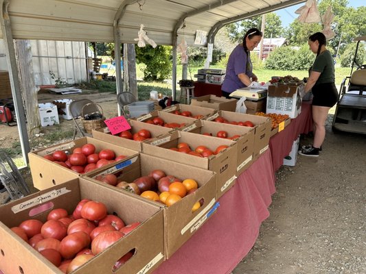 MCADAMS FARM - Updated December 2025 - 37 Photos & 11 Reviews - 1100 N ...