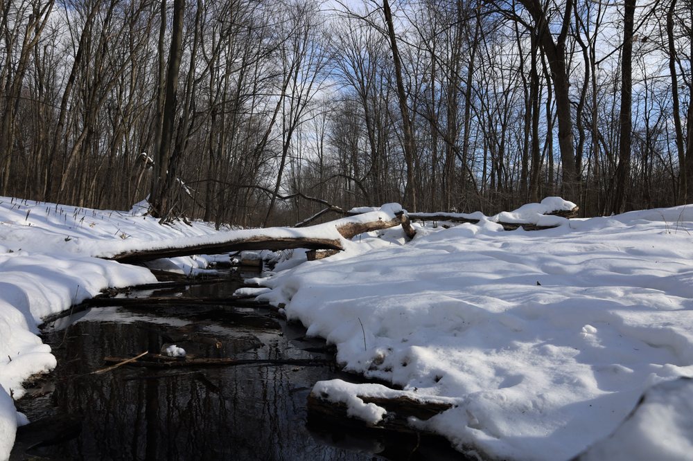 PINHEY FOREST - Updated March 2024 - 1701 Woodroffe Avenue, Ottawa ...