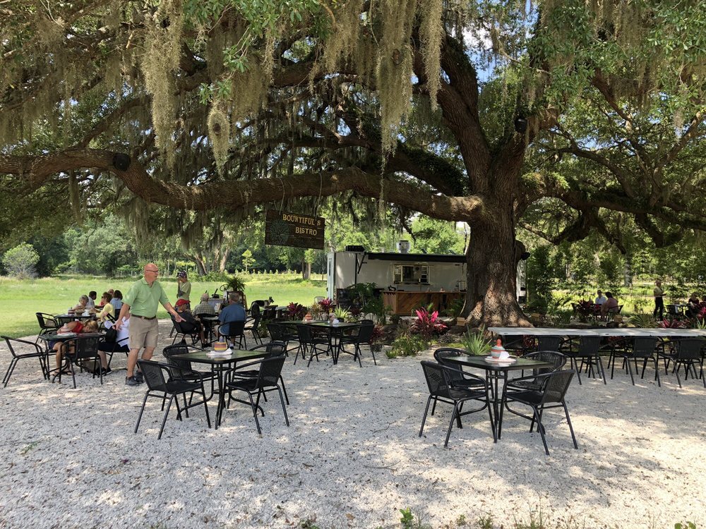 BOUNTIFUL FARMS BISTRO - 82 Photos & 41 Reviews - 27314 County Rd 33 ...