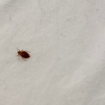 HILTON GARDEN INN MEMPHIS DOWNTOWN BEALE STREET - Updated January 2026 ...