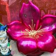 WUNDER GARTEN AT NOMA - 301 Photos & 225 Reviews - 1101 First St NE ...