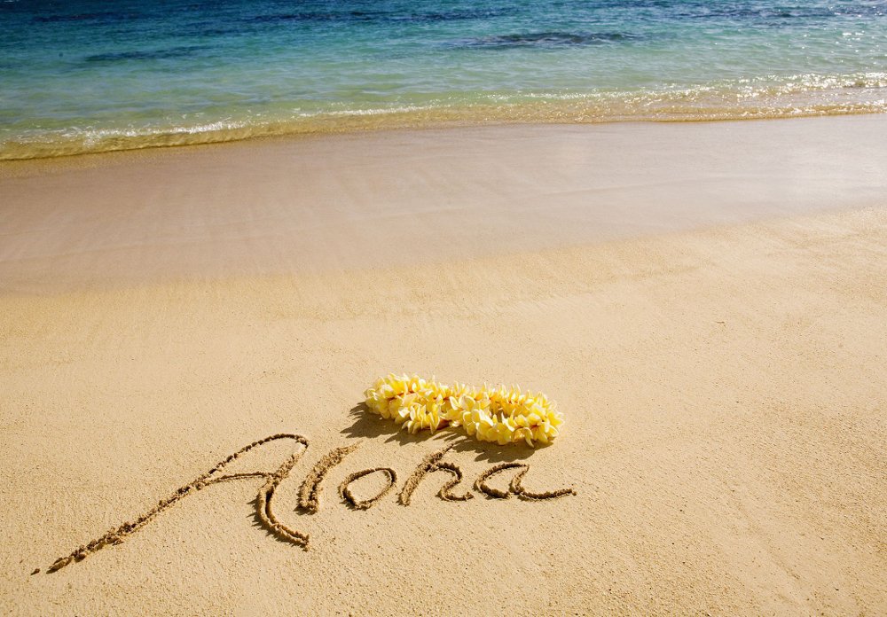 ALOHA NUI SPA - Updated December 2025 - 1855 Deerfield Rd, Highland ...