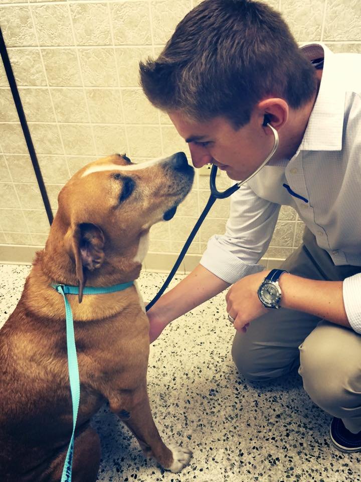 DAVIS ANIMAL HOSPITAL - Updated February 2026 - 82 Photos & 74 Reviews ...