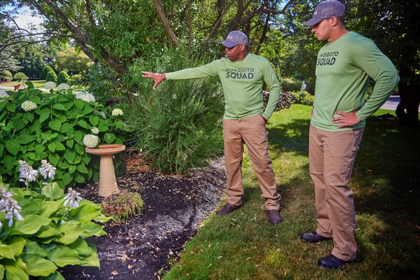 MOSQUITO SQUAD - Updated January 2026 - 19 Photos - 2351 Potshop Ln ...