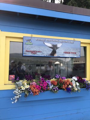 DOLPHIN JET BOAT TOURS - 40 Photos & 75 Reviews - 11547 Glacier Hwy ...