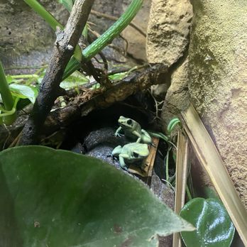 SNAKE DISCOVERY A REPTILE EXPERIENCE - Updated October 2025 - 44 Photos ...