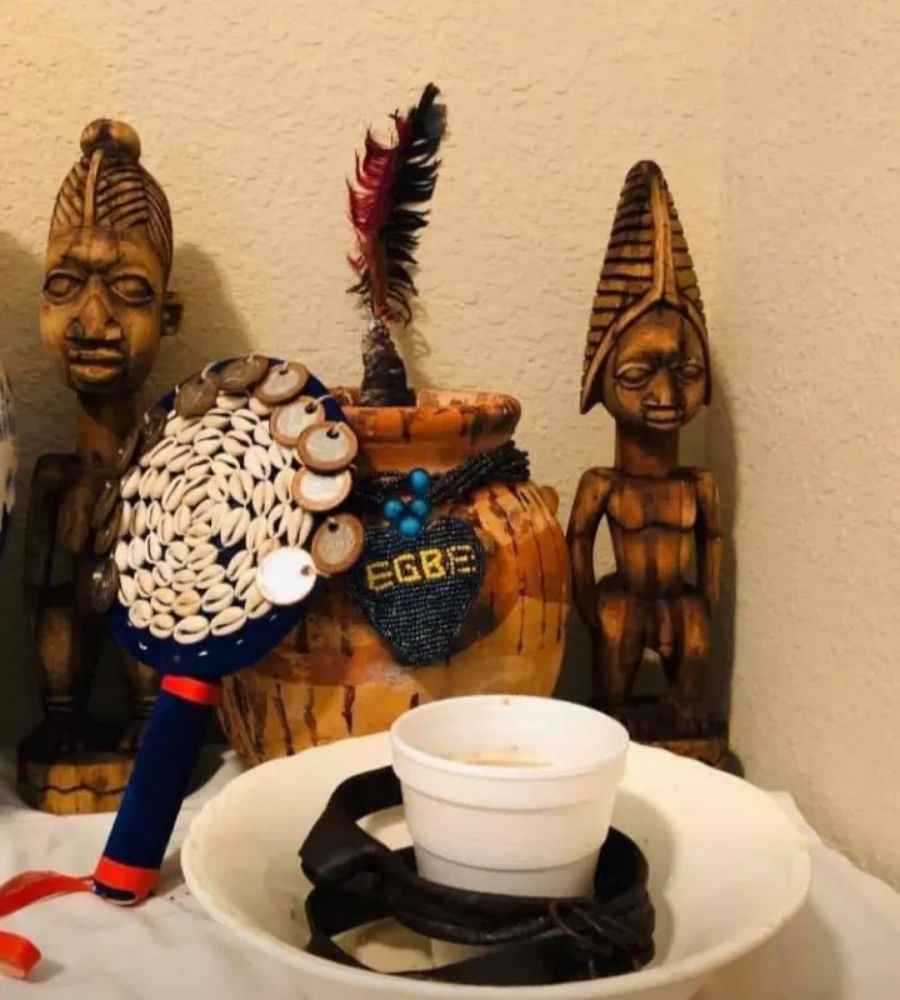 BLUE IFA TRIBE NFP - Updated December 2024 - Request Information - 15 ...