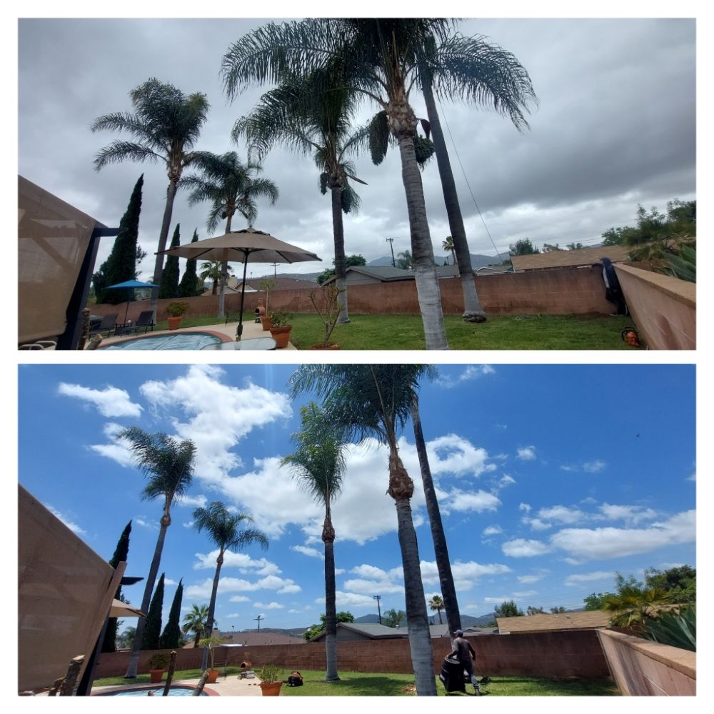 VÍCTOR LANDSCAPE - Updated October 2025 - 14 Photos & 21 Reviews - San ...