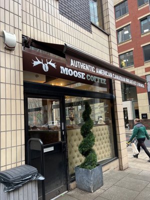 MOOSE COFFEE - Updated March 2026 - 234 Photos & 84 Reviews - 20 York ...