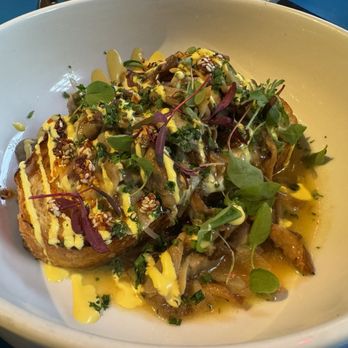 NEVER SAY DIVE - Updated April 2025 - 87 Photos & 33 Reviews - 4497 ...