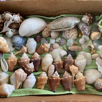 BLIND PASS BEACH - Updated May 2025 - 33 Photos & 15 Reviews - 6725 ...