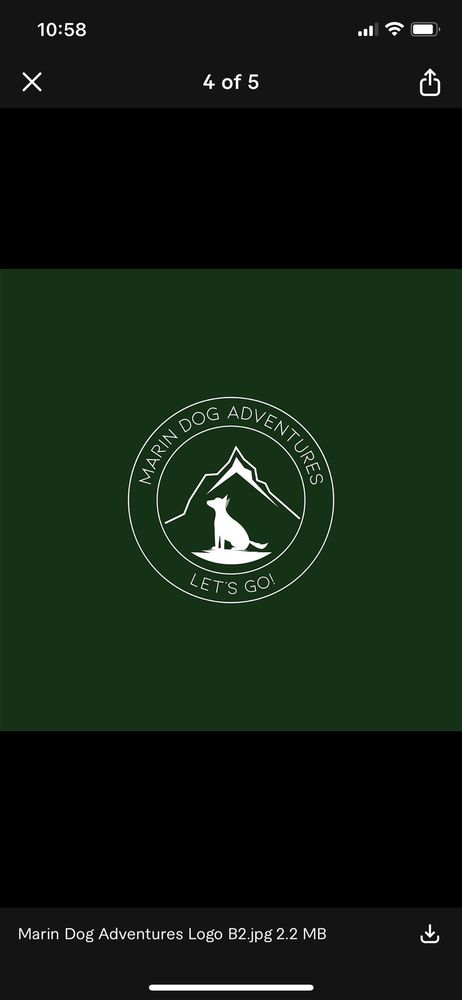 MARIN DOG ADVENTURES - Updated August 2024 - San Rafael, California ...