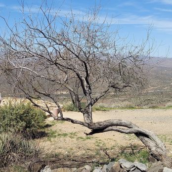 SUNSET POINT REST AREA - Updated December 2024 - 264 Photos & 55 ...