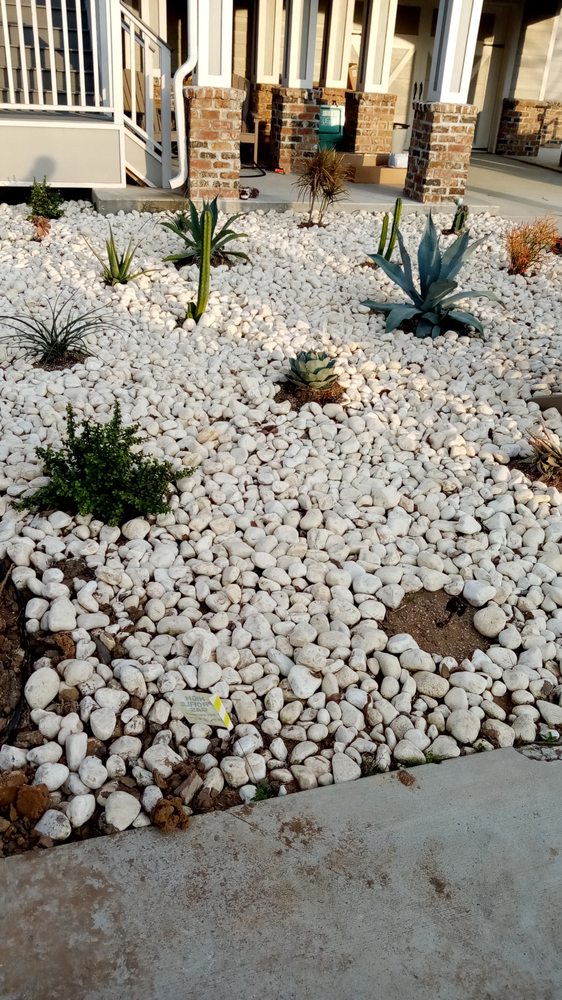 J & M TREE SERVICE - Updated June 2024 - 16 Photos - 221 20th St, San ...