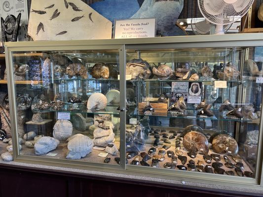 THE ORE CART ROCK SHOP - Updated October 2025 - 31 Photos & 28 Reviews ...