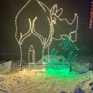 HENRY VILAS PARK ZOO - 422 Photos & 226 Reviews - 702 S Randall Ave ...