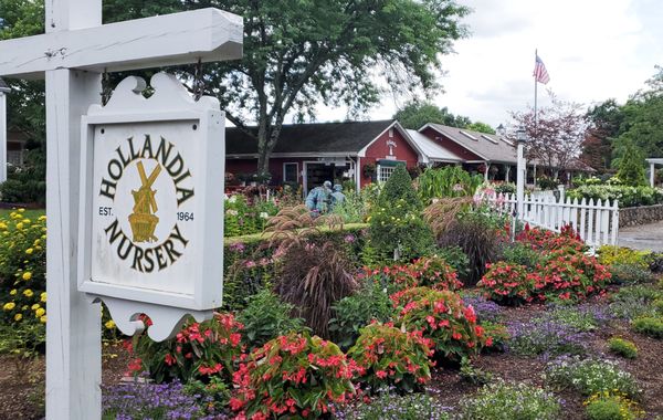 Hollandia Nursery Bethel Ct