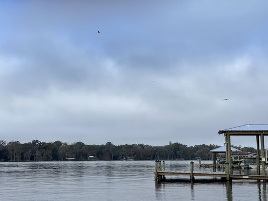 GEORGETOWN MARINA LODGE & R V PARK - Updated December 2025 - 46 Photos ...