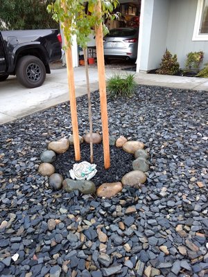 CASCADE ROCK - Updated December 2025 - 56 Photos & 95 Reviews - 8585 ...