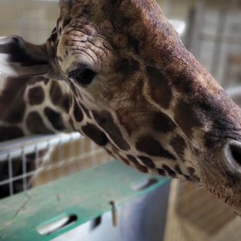 KEYSTONE SAFARI - Updated May 2024 - 125 Photos & 51 Reviews - 2284 ...