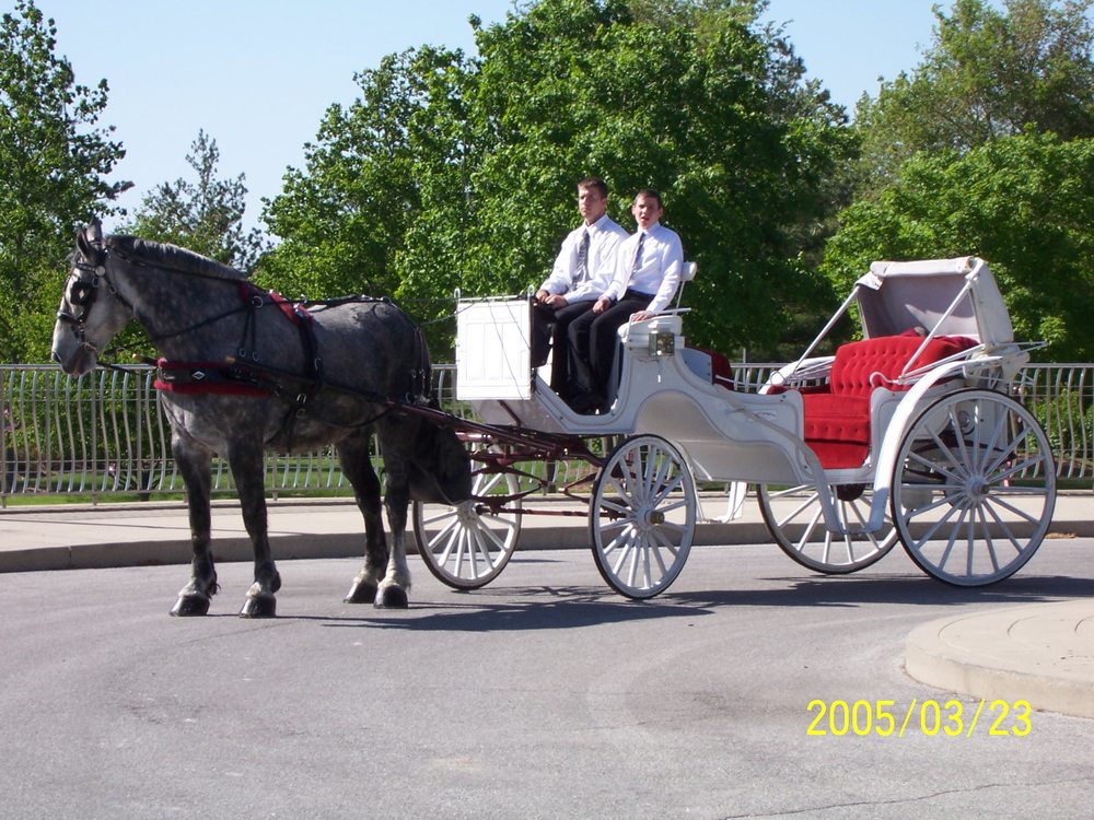 Rosewood Carriage Rides - Trusted Since 2003 - Updated July 2025 - 921 ...
