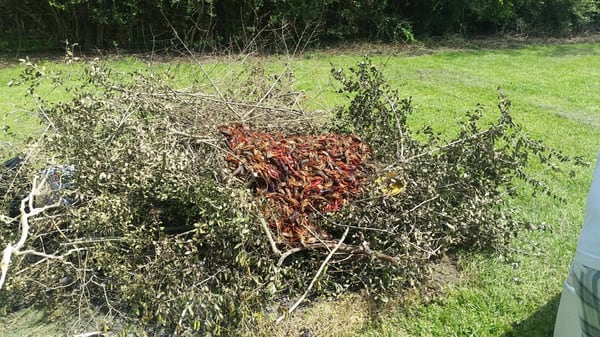 H-E-B - Updated October 2025 - 34 Photos & 51 Reviews - 28520 Tomball ...