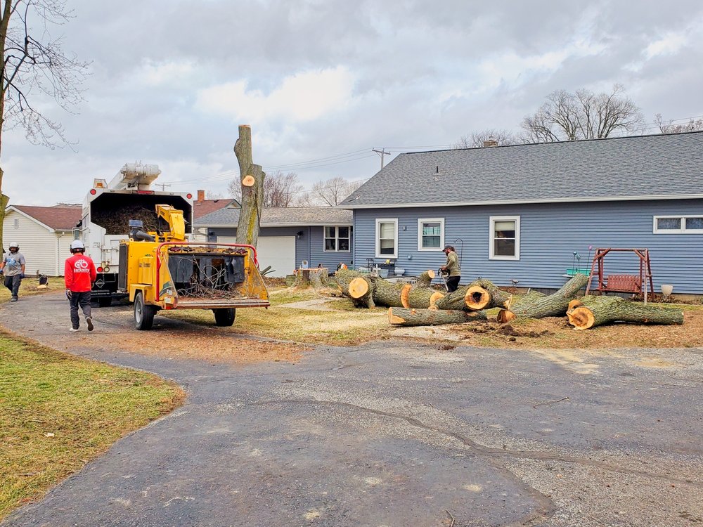 INFINITY OUTDOOR SERVICES - Updated December 2025 - Request a Quote ...