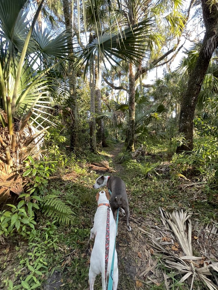 CREW CORKSCREW MARSH TRAILS - Updated October 2025 - 48 Photos - 4600 ...