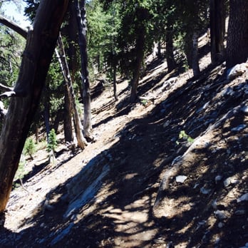 BONANZA TRAIL - Updated July 2025 - 78 Photos - Cold Creek Rd, Las ...
