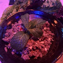 SAME SAME - Updated October 2025 - 539 Photos & 222 Reviews - 300 Carlsbad Village Dr, Carlsbad ...