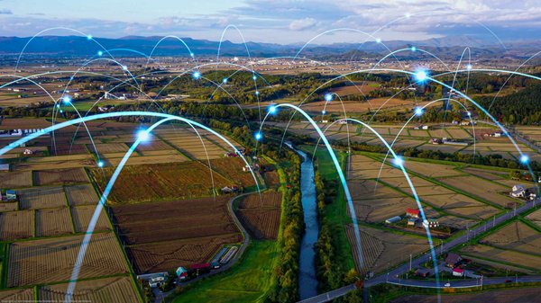 DIGITALPATH - Updated August 2025 - 25 Photos & 259 Reviews - 1065 ...