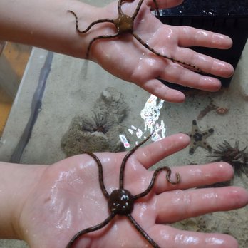 AQUARIUM & SHARK LAB BY TEAM ECCO - Updated May 2024 - 64 Photos & 21 ...