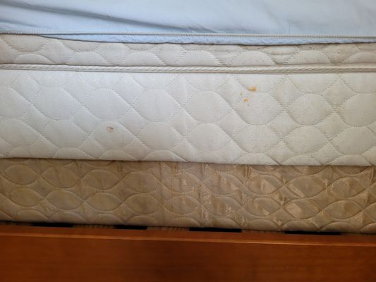 TIMBERFELL RESORT - Updated June 2025 - 29 Photos & 11 Reviews - 2240 ...