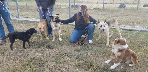 FRIENDS OF PAWS IN PRISON - Updated December 2025 - Request Information ...