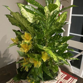 BLUE LEAF STUDIO FLORIST - 176 Photos & 139 Reviews - 9760 Baseline Rd ...